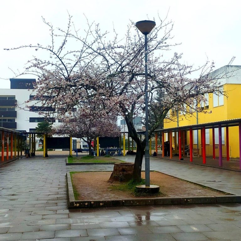 EB 2,3 Dr.ª Maria Alice Gouveia - Agrupamento de Escolas Coimbra Sul